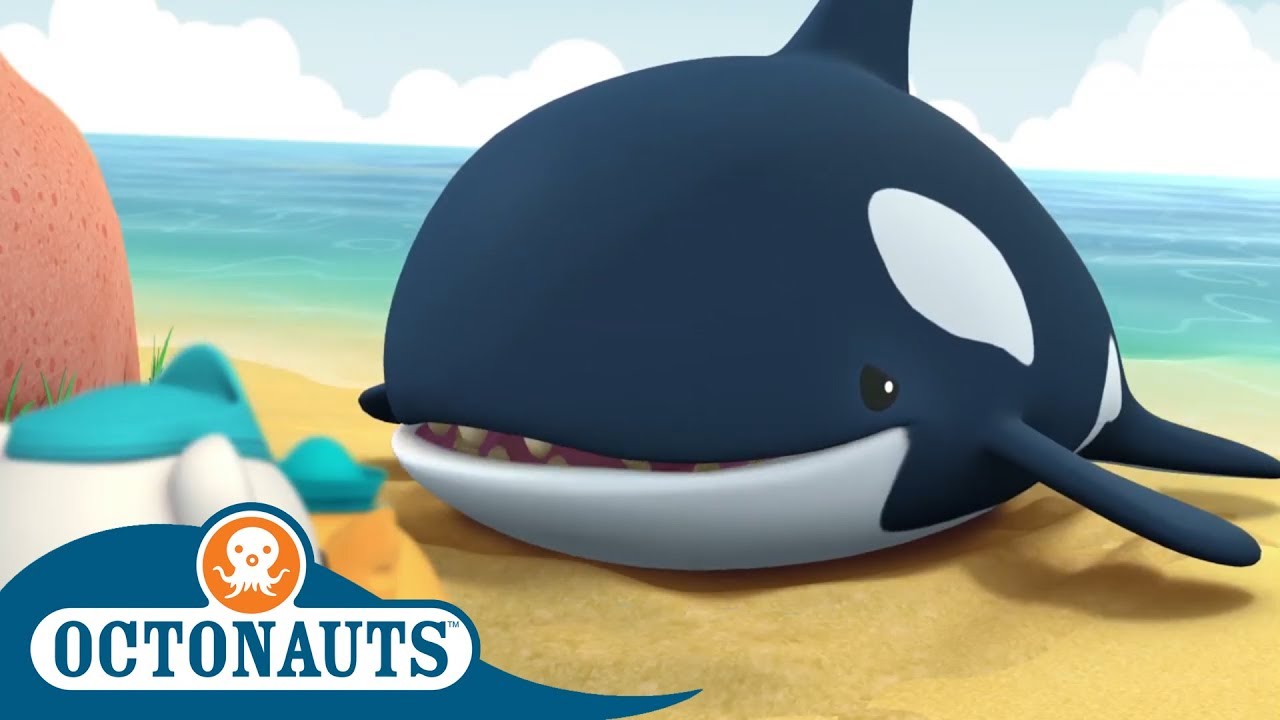 Octonauts - The Stranded Whale | Cartoons for Kids | Underwater Sea ...