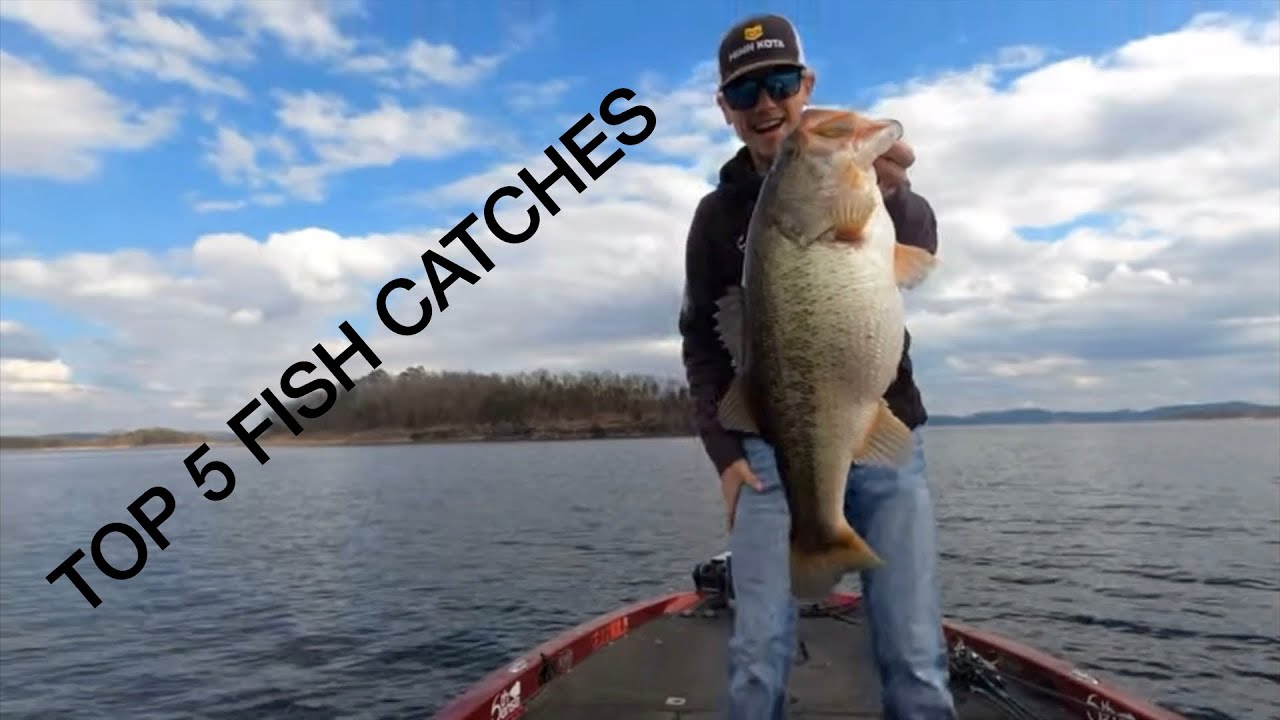 My TOP 5 memorable fish CATCHES of the year so far - YouTube