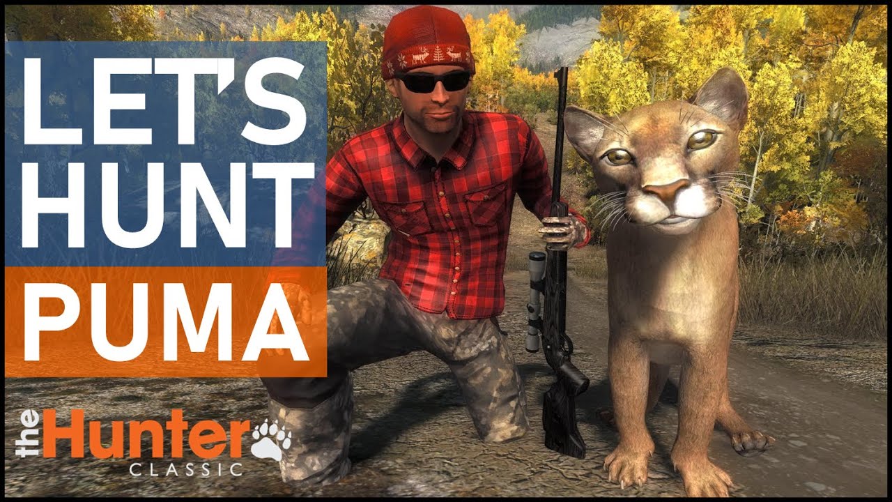 Let's Hunt PUMA - theHunter Classic - YouTube