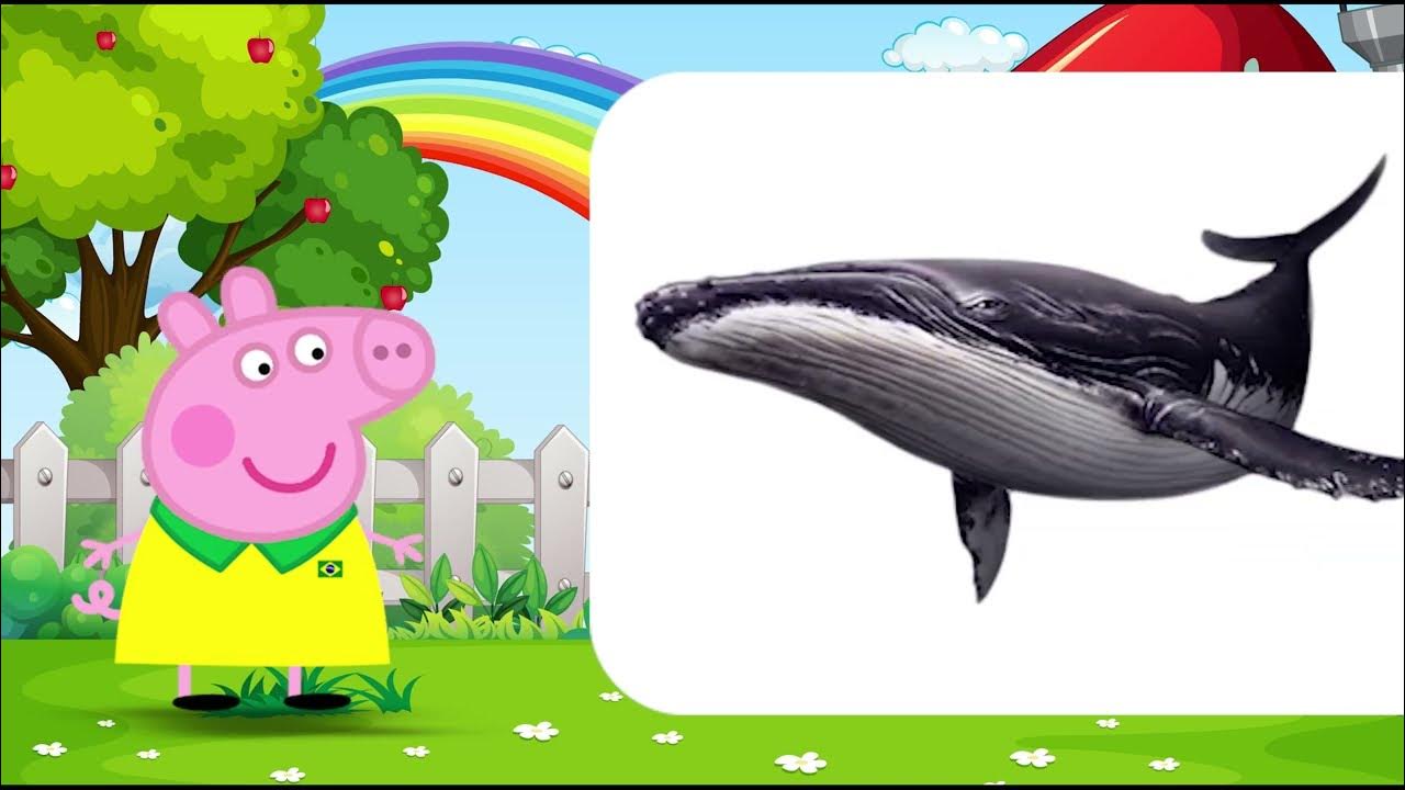 Let's Learn Animals for Toddlers | Basic Learning | Learn to identify ...