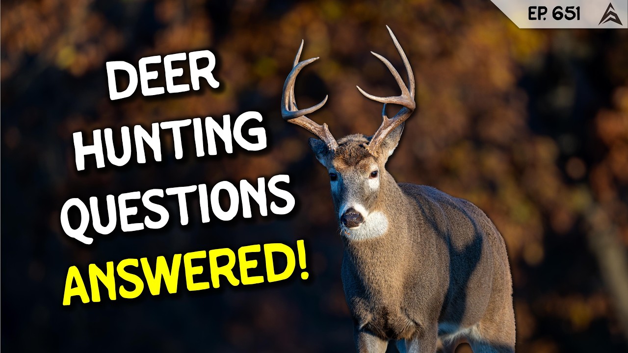 How Do You Find Does To Hunt? Deer Hunting Q&A! - YouTube