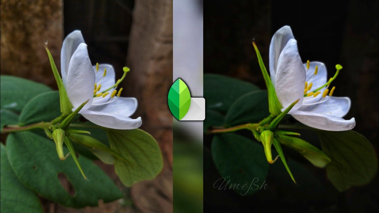 New Simple Tutorial || Snapseed Photo Editing - YouTube
