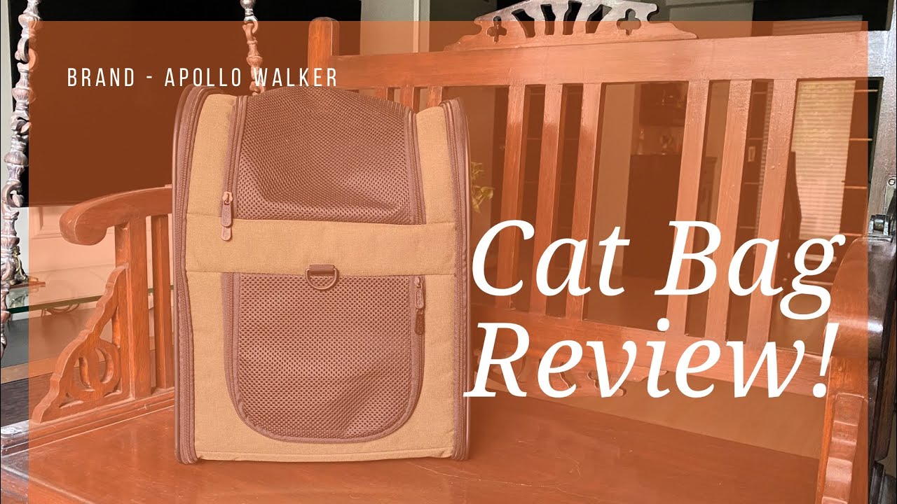 Apollo Walker Cat Bag Review - YouTube