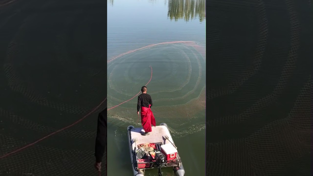 Fish hacking - YouTube