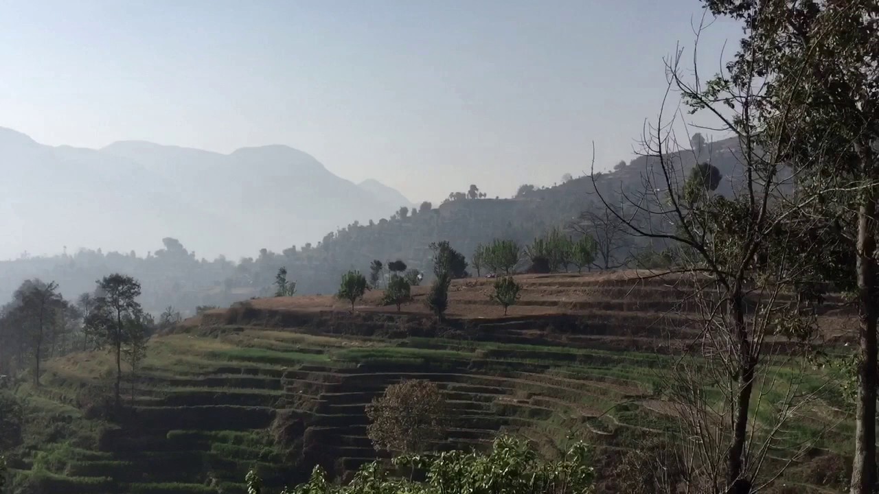 Mato tree plantation campaign Kathmandu Nepal 2016 - YouTube