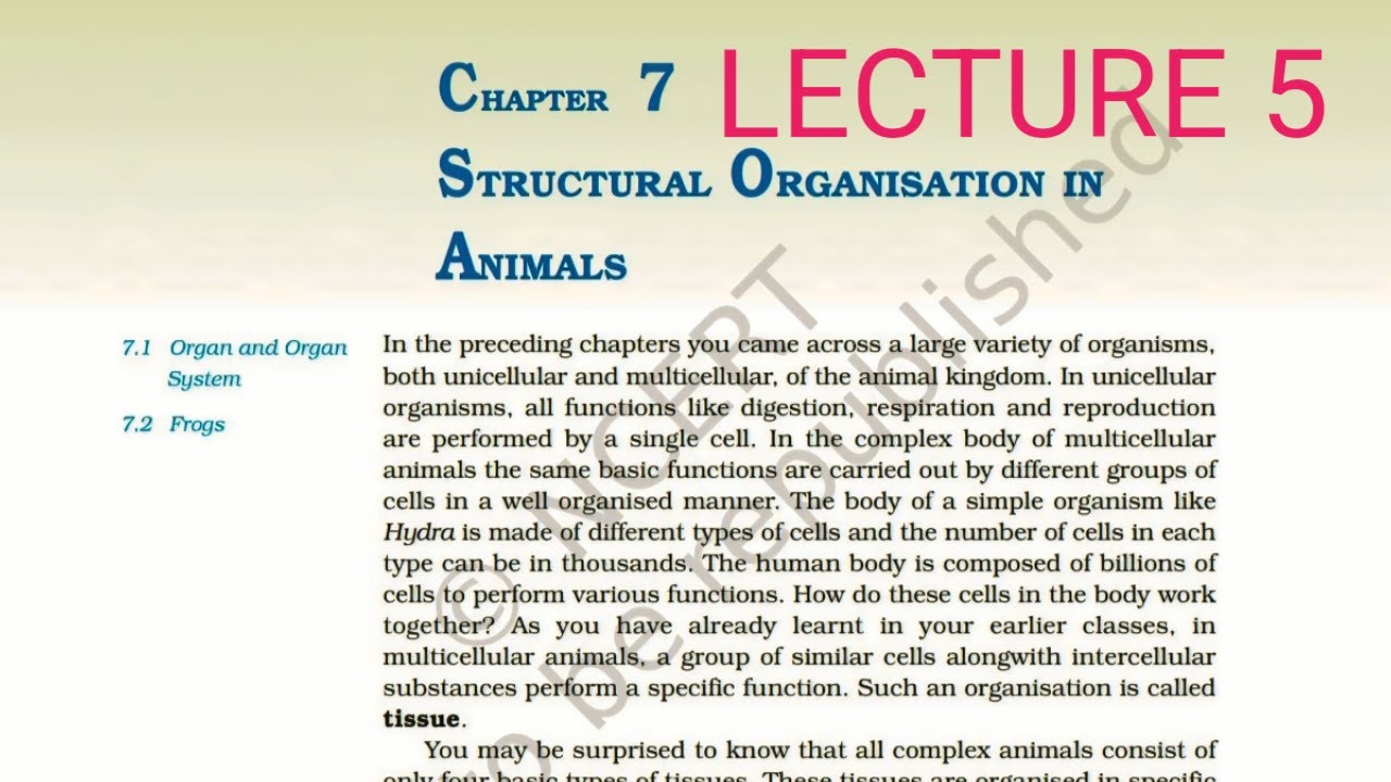#15 Structure Organisation in Animals (Lecture 5) - YouTube
