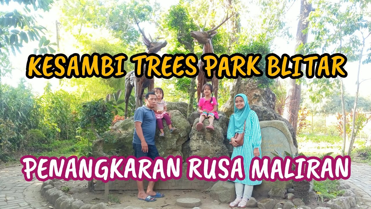 Penangkaran Rusa Maliran - Kesambi Trees Park Blitar - YouTube