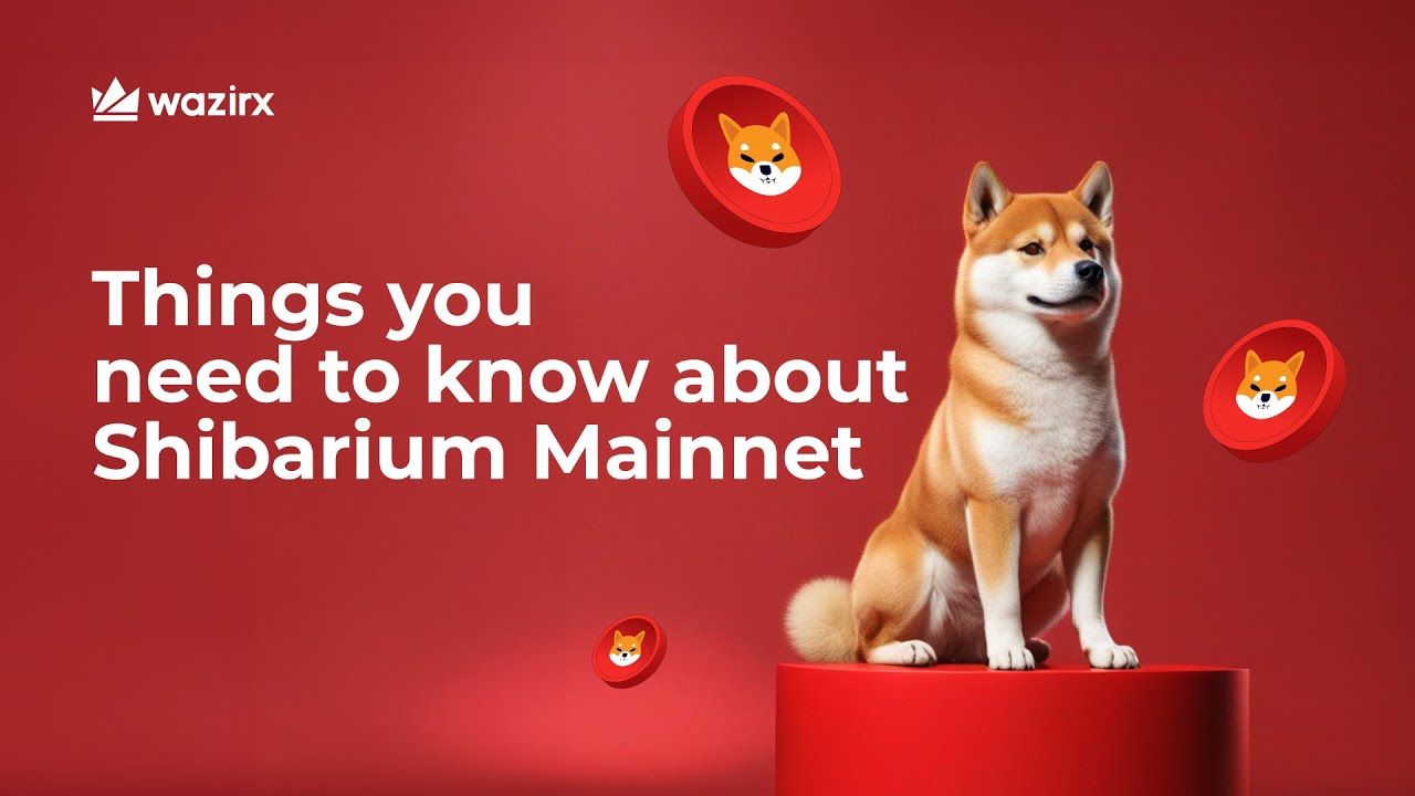 Shibarium Mainnet is Finally Live | Will this Elevate Shiba Inu Beyond ...