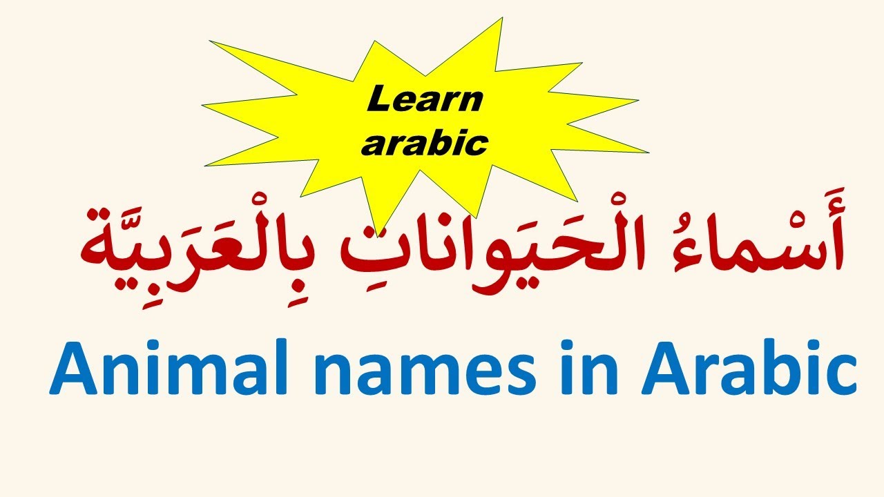أَسماءُ الحيوانات بِالْعَرِبِيَّة Learn Arabic: Animal Names in Arabic ...