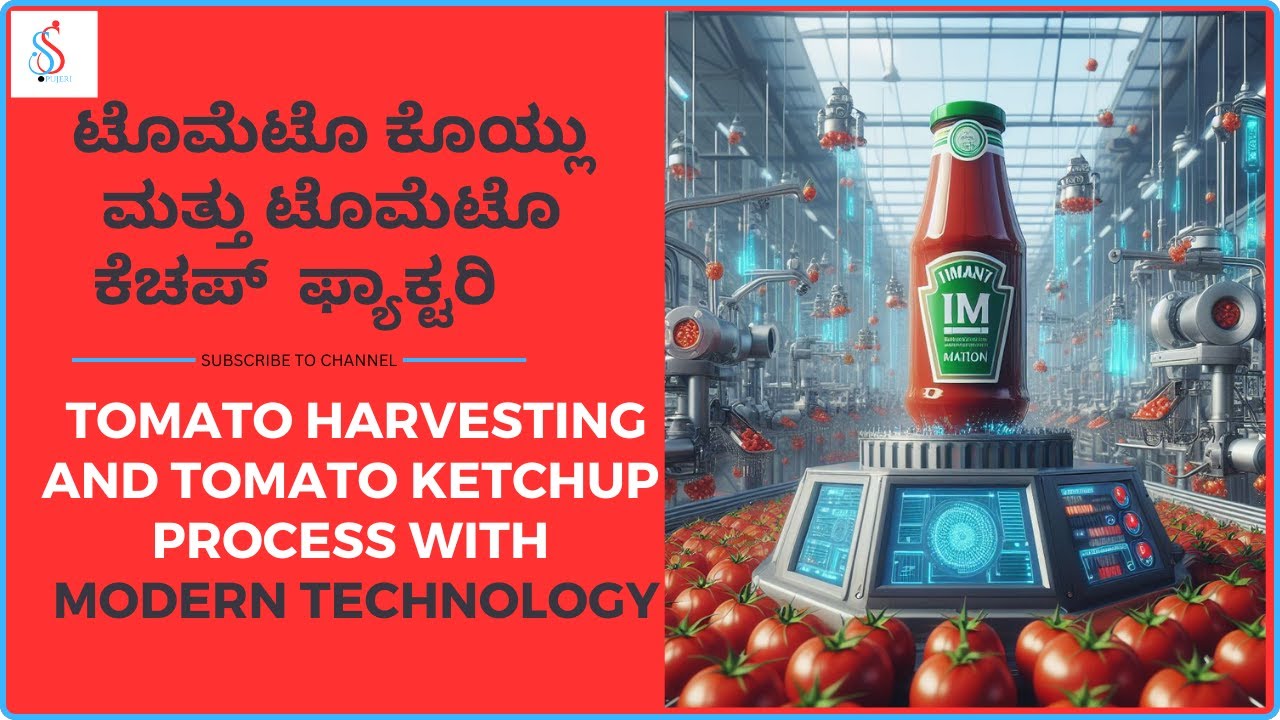 How Tomato Ketchup Is Made | Tomato Harvesting And Processing to ...