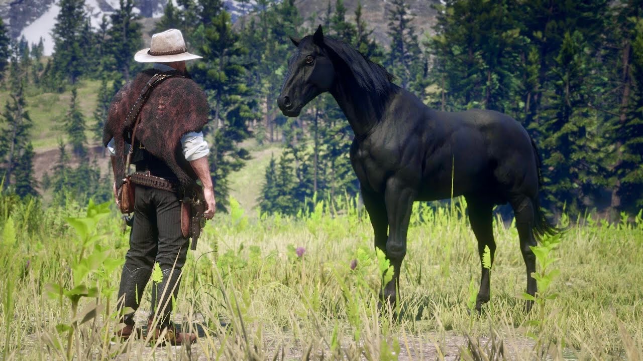 Red Dead Redemption 2: Getting the black American Standardbred - YouTube