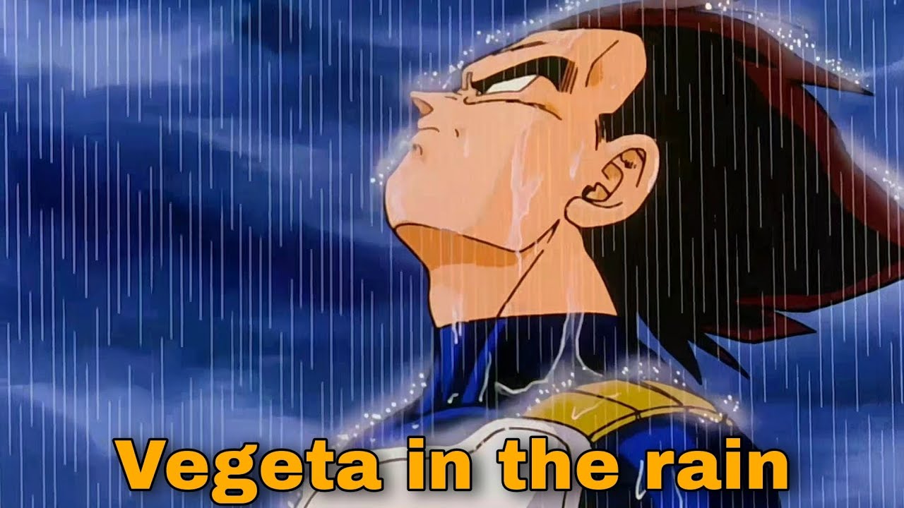 Vegeta in the rain meme template | 1080p60 Video Quality - YouTube
