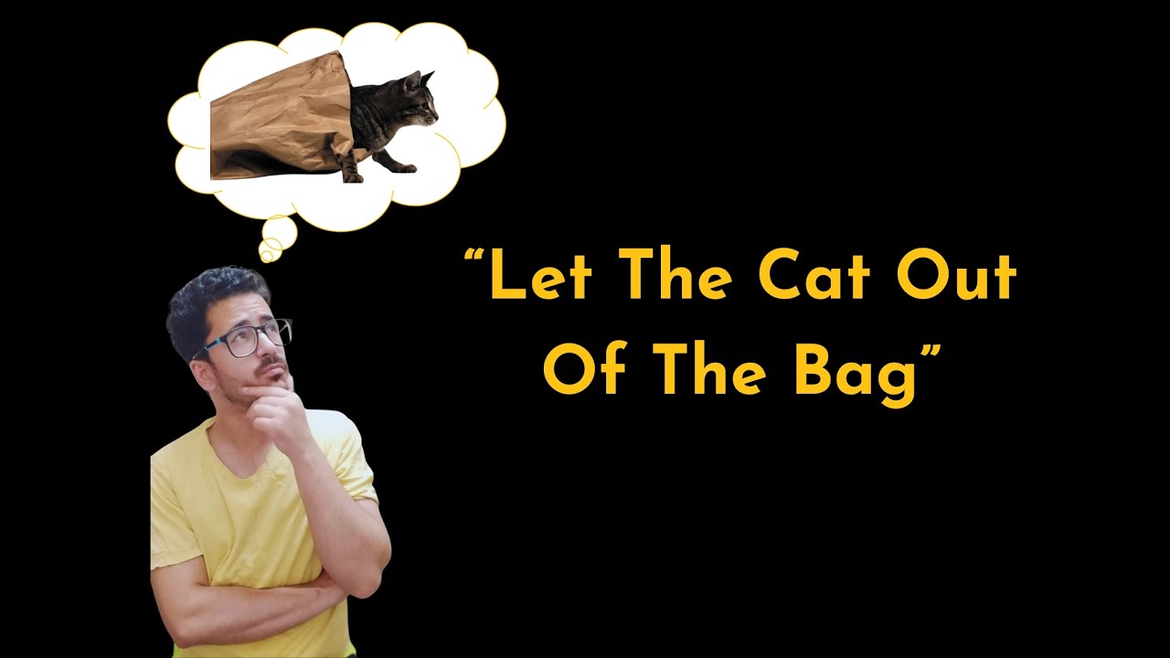 Let the Cat out of the Bag ||| Indian Sign language - YouTube