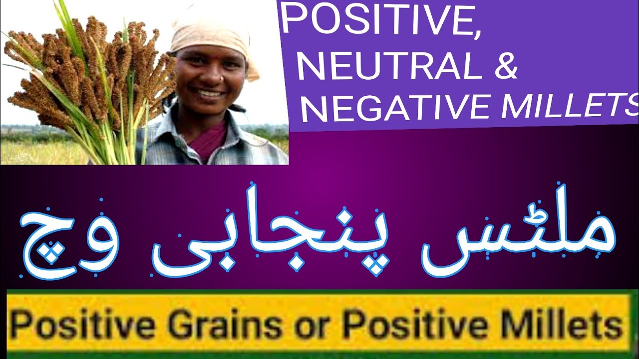 Millets In Punjabi |Difference between Neutral, Negative and Positive ...