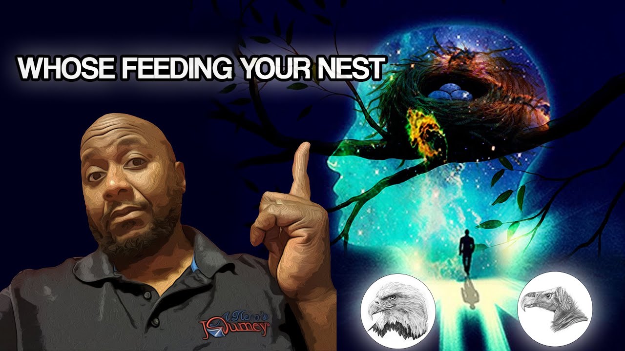 The Mind and Your Reality(Whose Feeding Your Nest?) - YouTube