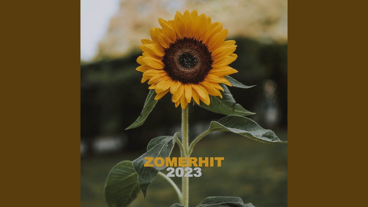 Table Of Fools - YouTube