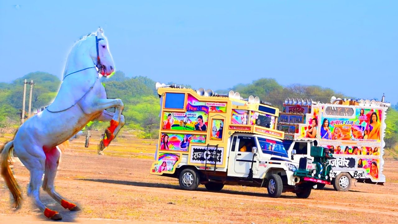 कुनालराज डीजे वाला का घोड़ा का जबरदस्त डांस !! Rajasthani Ghoda Dance ...