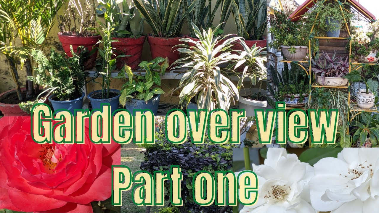 Garden over view - YouTube
