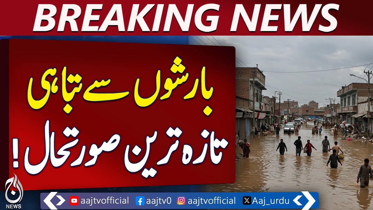 Heavy Rains Devastate Punjab, 30 Dead in Rain-Related Incidents ...