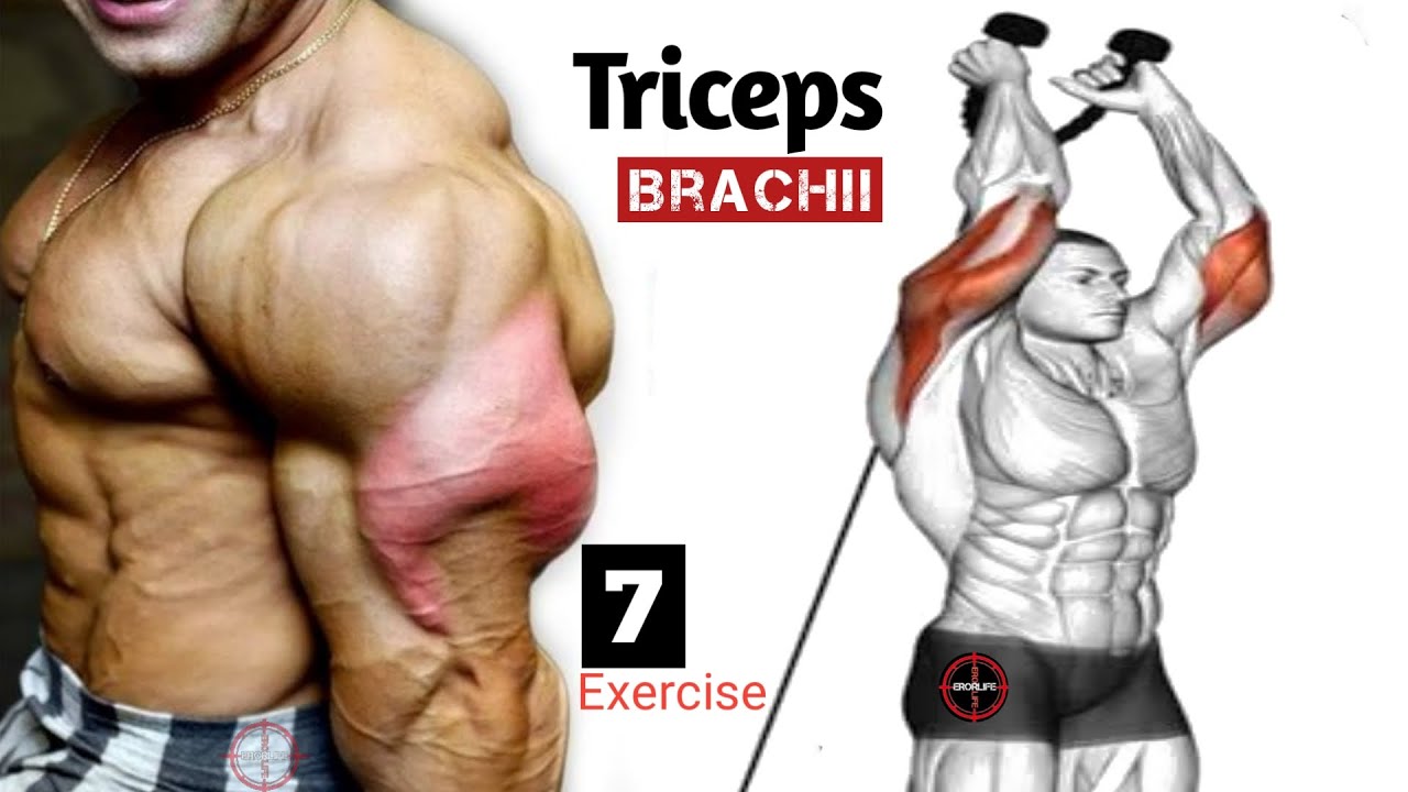 7 Excellent Workout For TRICEPS CUT | ERORLIFE - YouTube