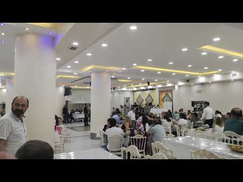 BİR SELAM SAL NE OLUR Zeynep Kaya söylüyor. Tokat Reşadiye Salon Düğünü