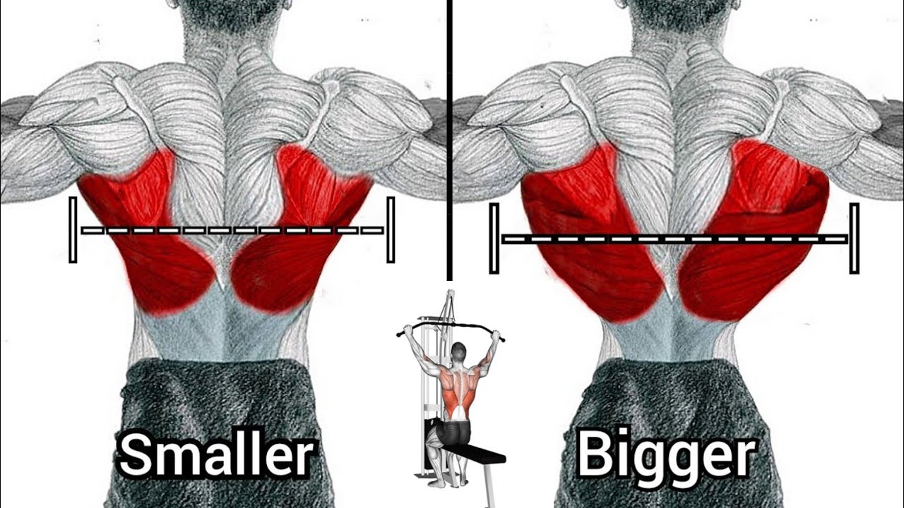 Back workout - Top 7 Effective Exercises for Bigger ( BACK ) - YouTube