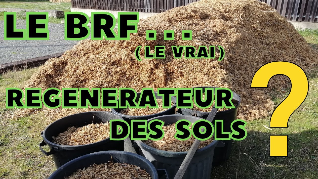 dossier complet BRF / le BRF est il un regenerateur des sols ? - YouTube