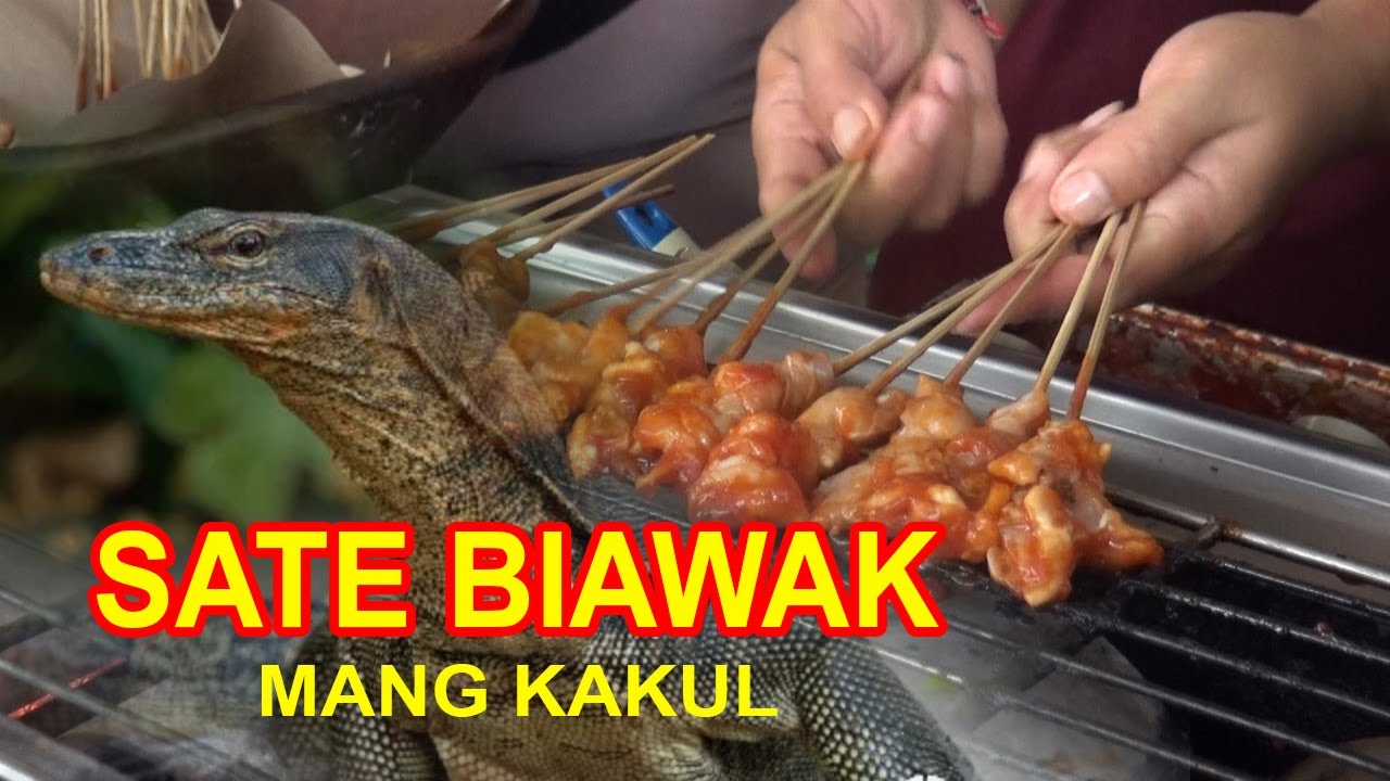 Sate Biawak