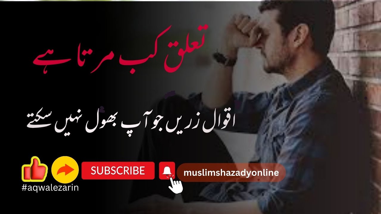 taluq ki talkh haqeeqat Quotes l اقوال زریں l Sachaiyan l # ...