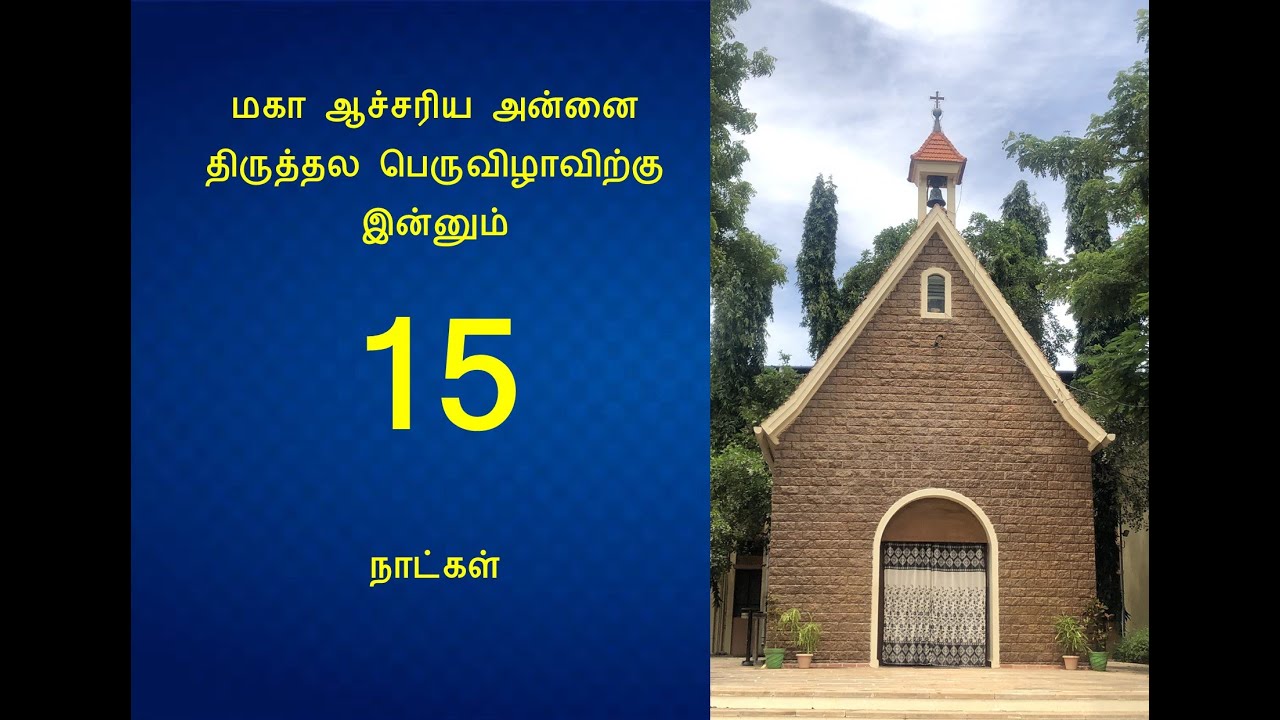 Shrine Feast | Mary the Mediator |Fr. Steven Scheier | Fr. Celestine ...