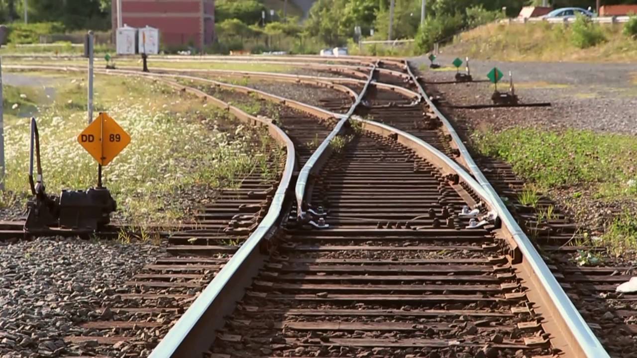 Pigeon Camera - The August Cooperative - YouTube