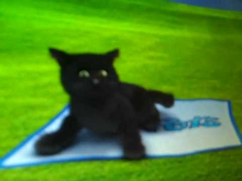 Foopets cat says "Don't touch me!" - YouTube