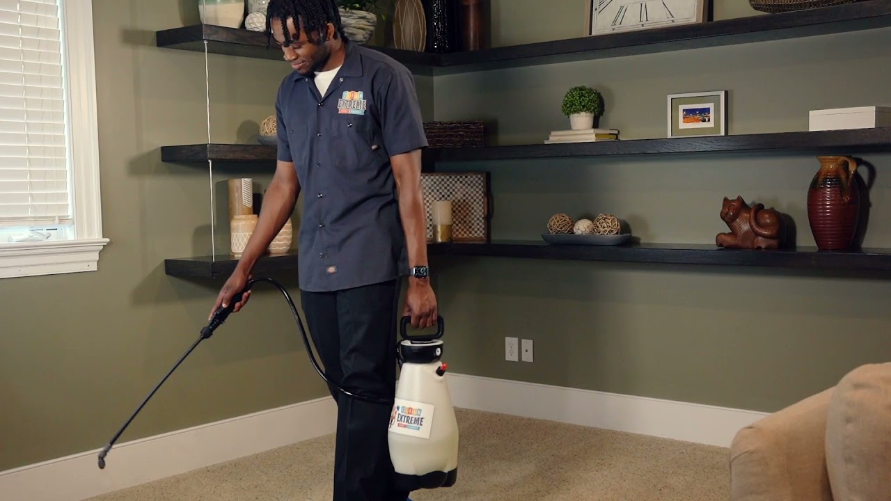 Carpet Cleaning Clean Extreme - YouTube