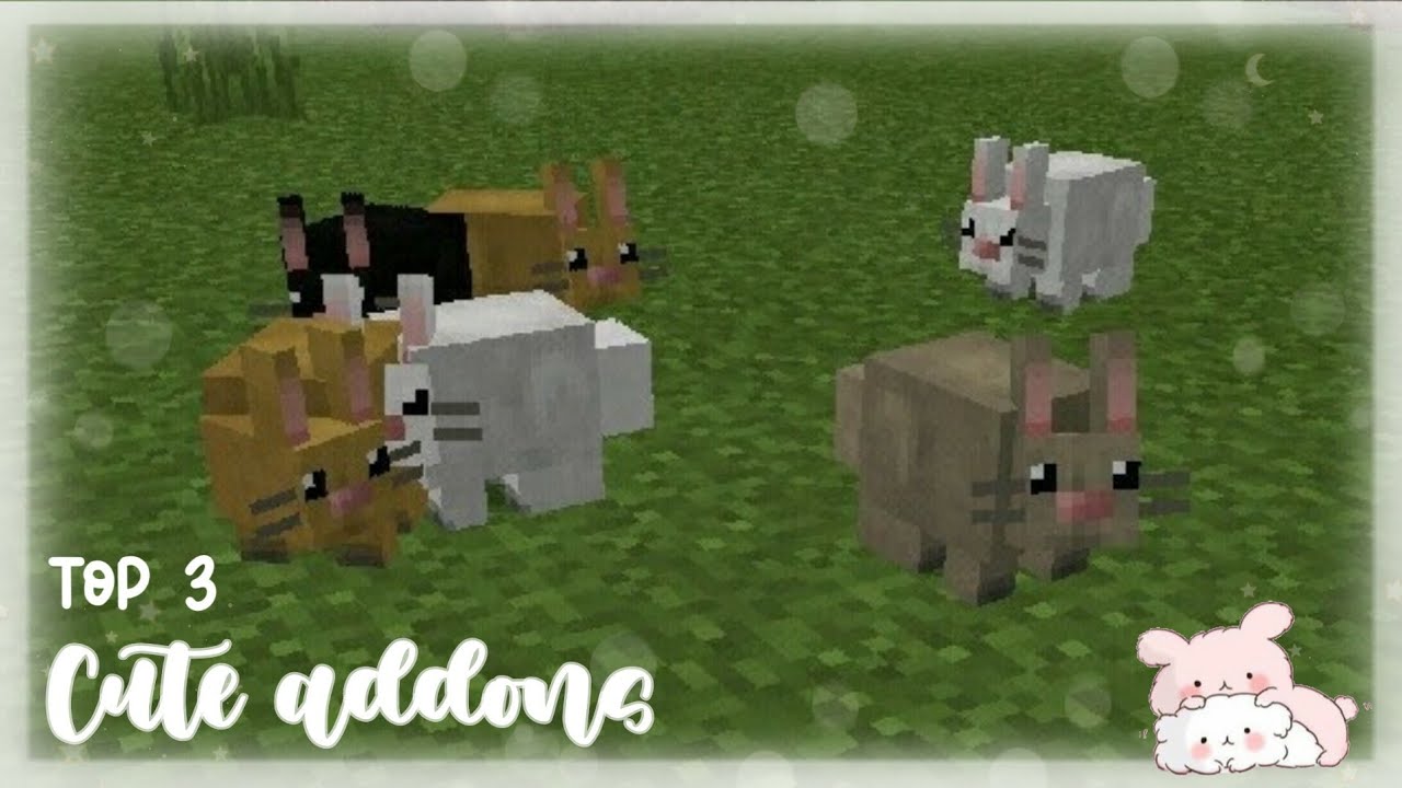 Top 3 Cute Addons | Minecraft PE - YouTube