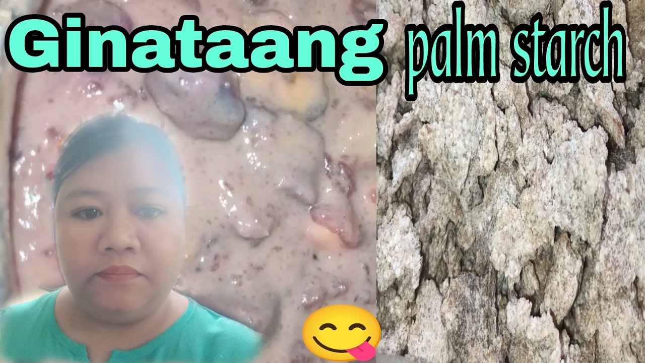 ginataang palm starch || first time in my life to see and to cook ASMR ...