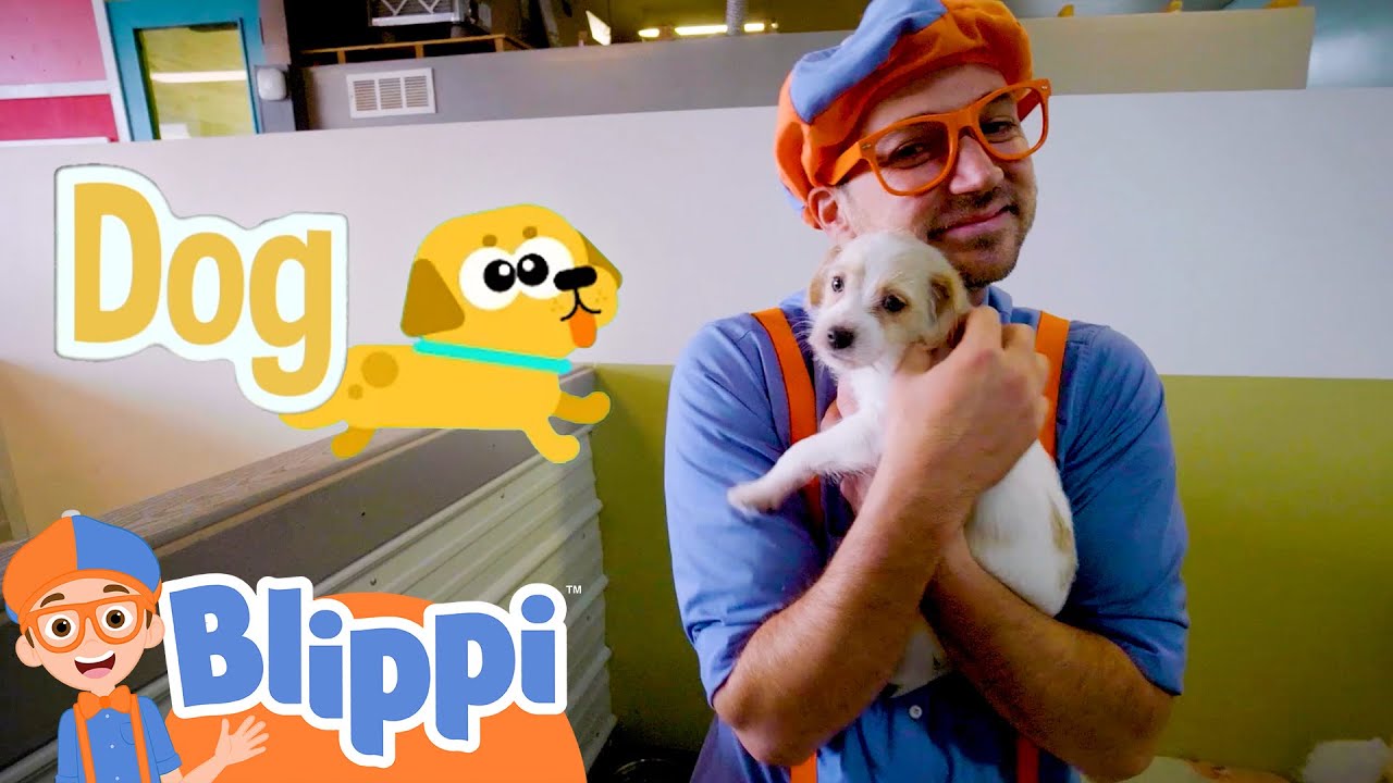 Blippi Cares After Pets - Cute Animals in the Shelter! | Fun and ...