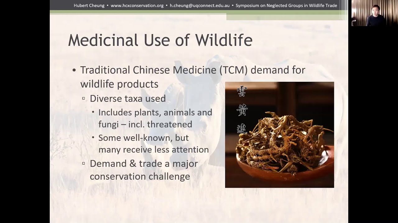 Symposium on Wildlife Trade - Hubert Cheung - YouTube