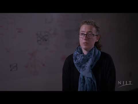 Why To Study Architecture In Njit