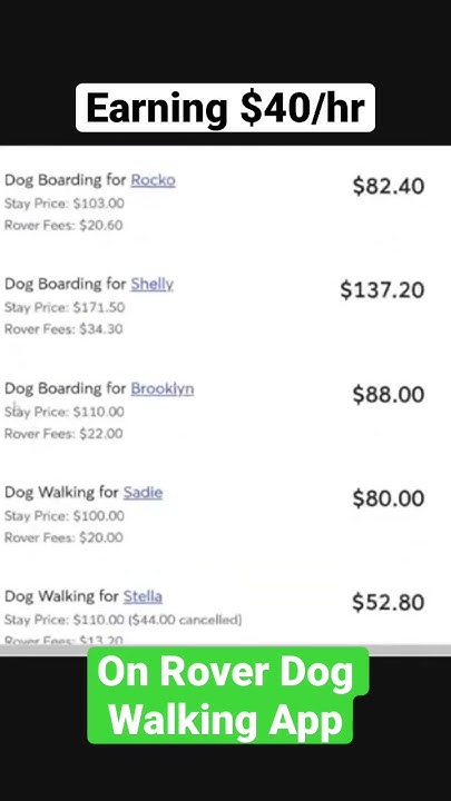 EARNING $40/hr 💴 Dog Walking On The Rover App 🐶 💰 - YouTube