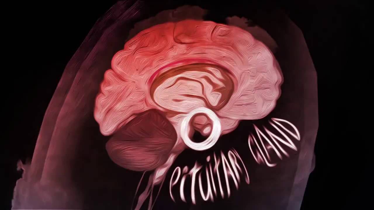 The science of stage fright and how to overcome it Mikael Cho - YouTube