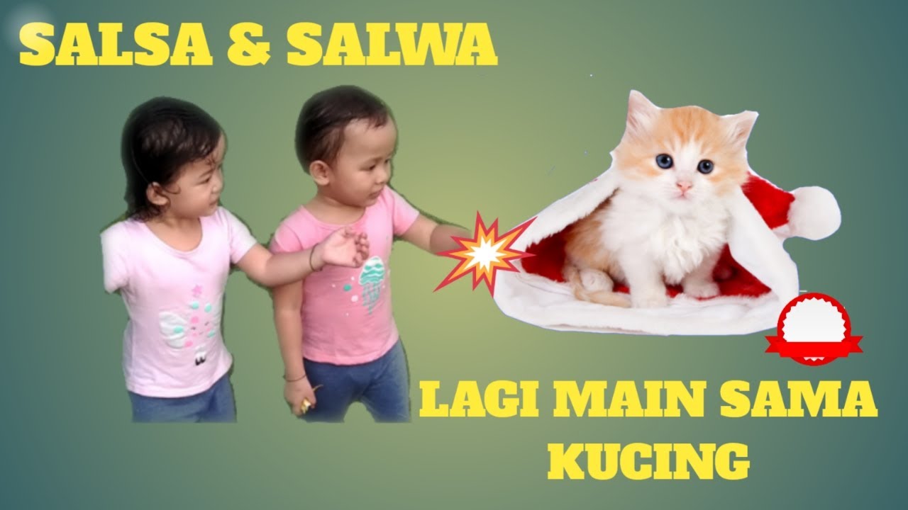 Sikembar lagi main sama kucing yang lucu - YouTube