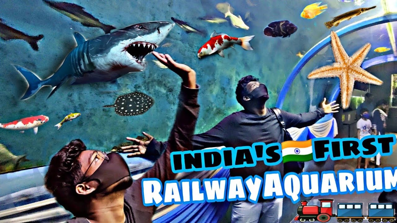 INDIA's First Railway aquarium |Tunnel shaped tanks | Monster fish ...