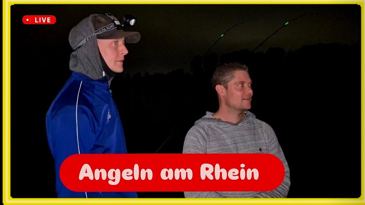 ANGELN am RHEIN 2025. Mit KÖDERFISCH auf ZANDER und WELS. 🎣😲 - YouTube