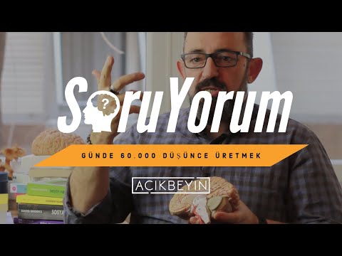 SoruYorum - Günde Ortalama 60.000 Düşünce mi Üretiriz?