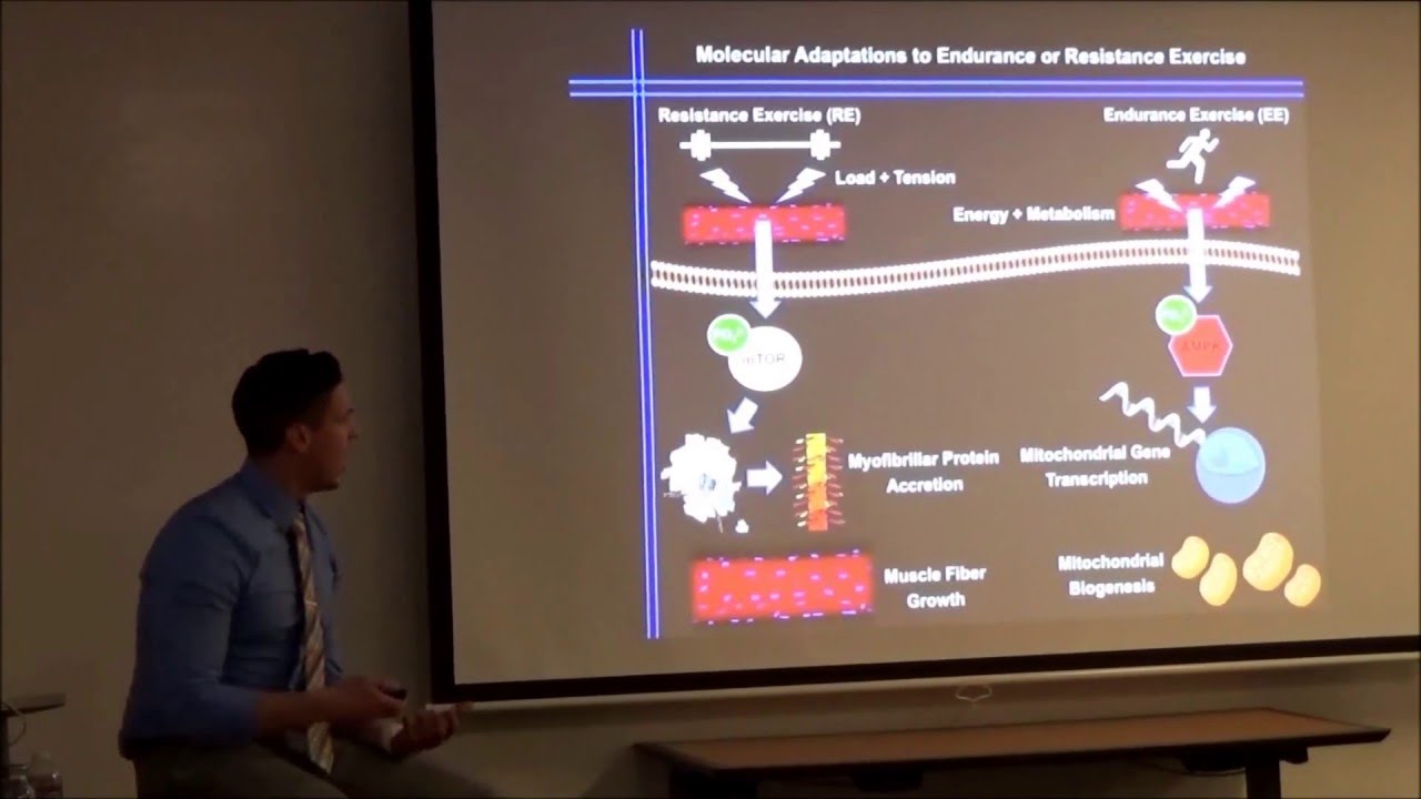 Concurrent Exercise Training (MPLS 2016): Dr. Kevin Murach - YouTube
