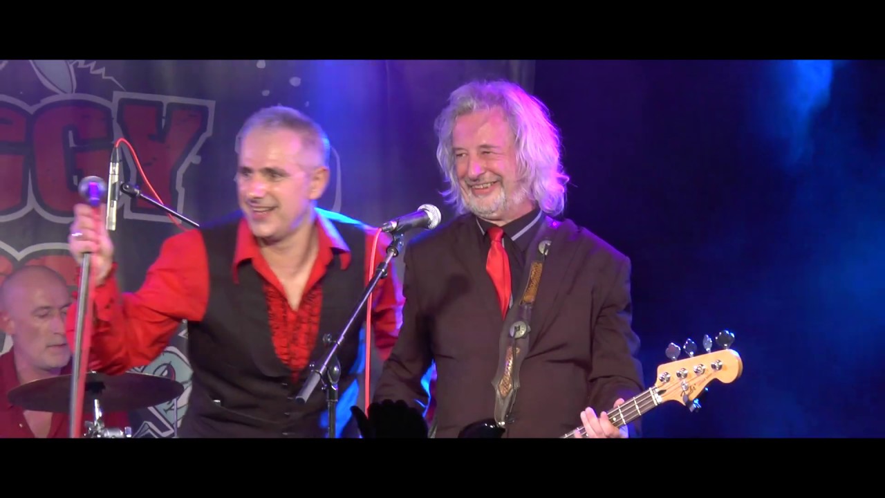 Shaggy Dogs - Swingin’ High & Low - YouTube