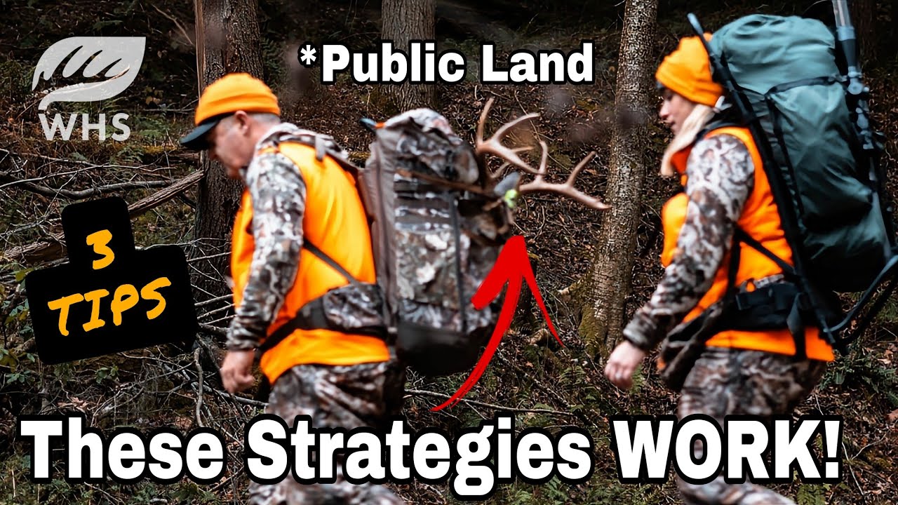 Proven Public Land Gun Season Strategies - YouTube