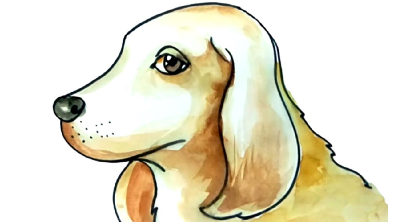 How to draw a dog face side view - YouTube