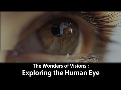 The Wonders of Visions : Exploring the Human Eye (Assigment) - YouTube