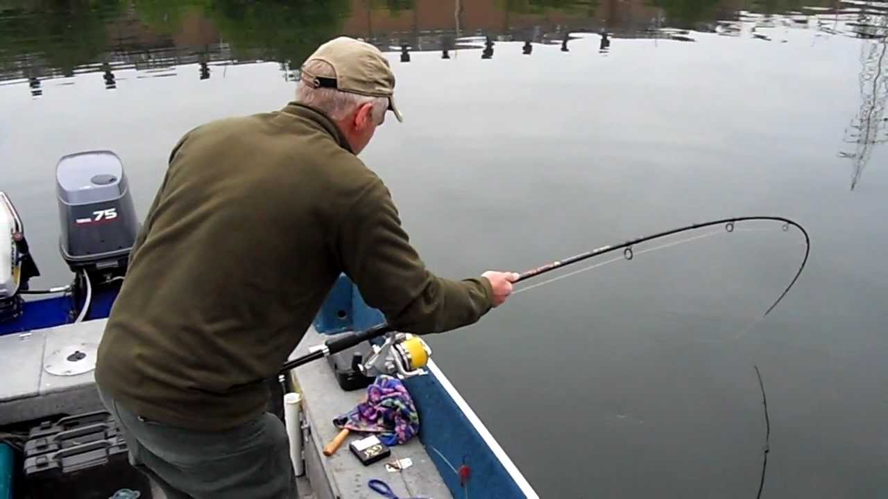 silure 1M 80 MEUSE LIEGEOISE - YouTube